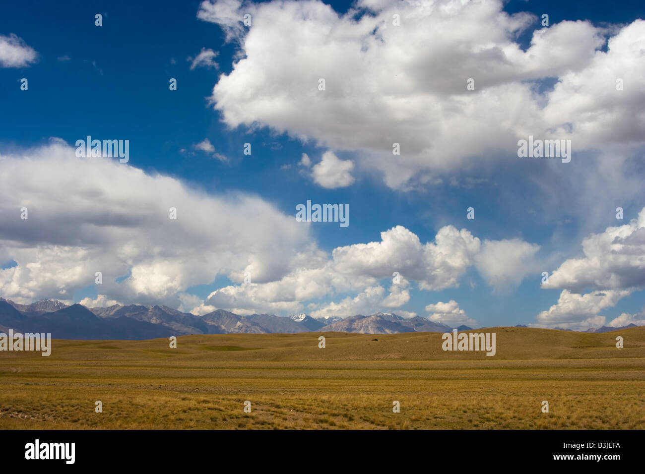 Alay valley in July, Pamir mountains, Kyrgyzstan Stock Photo - Alamy