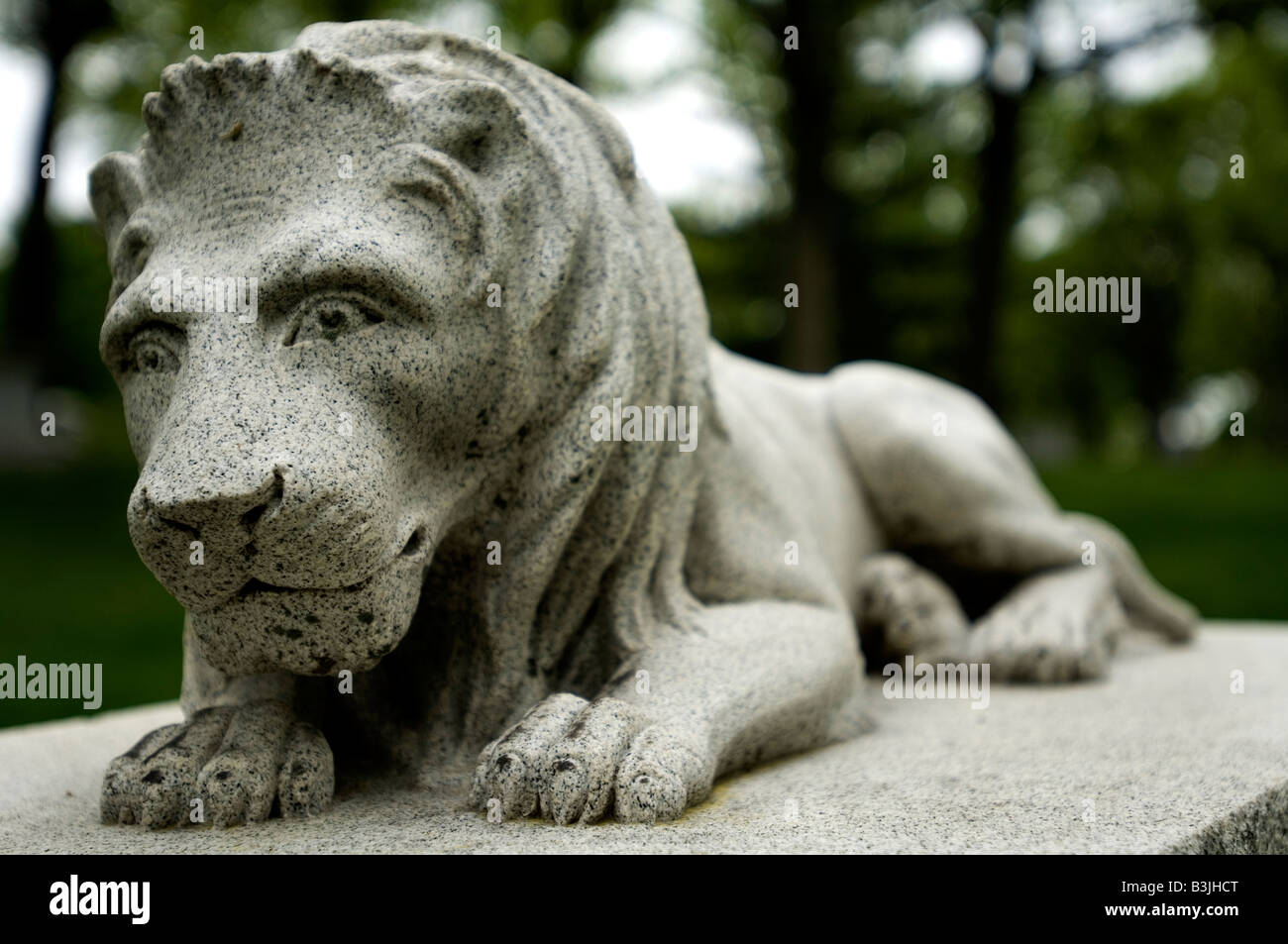 A closeup of a carved lion on a gravestone Stock Photo - Alamy