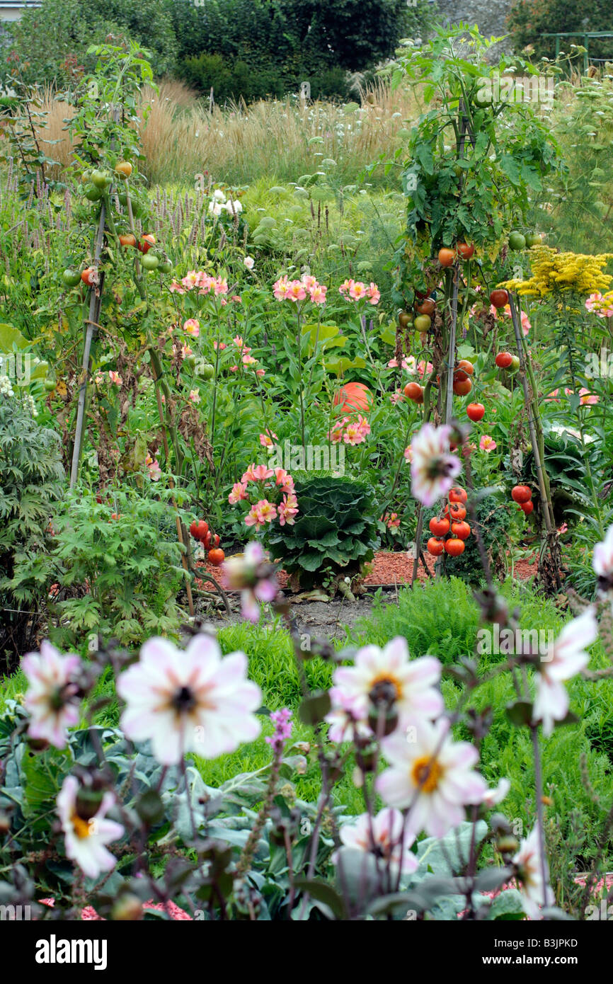 Vegetable potager hi-res stock photography and images - Alamy