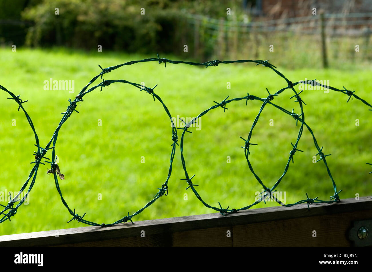 barbed wire on a gate Stock Photo - Alamy