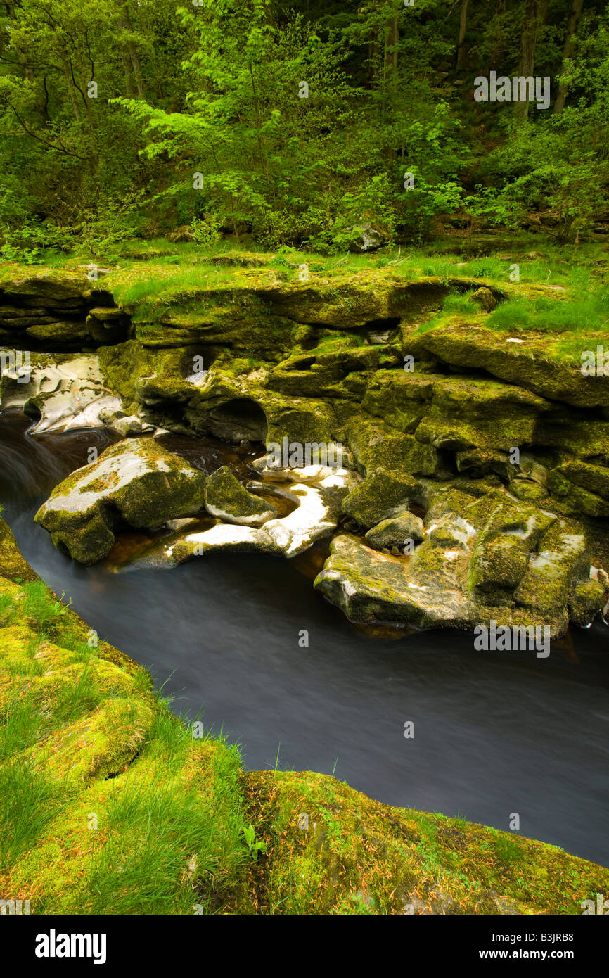The strid at bolton abbey hi-res stock photography and images - Alamy