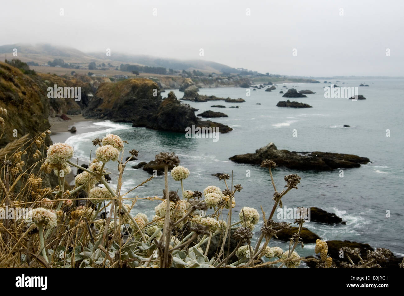 Landscape of the northern California coast Stock Photo - Alamy