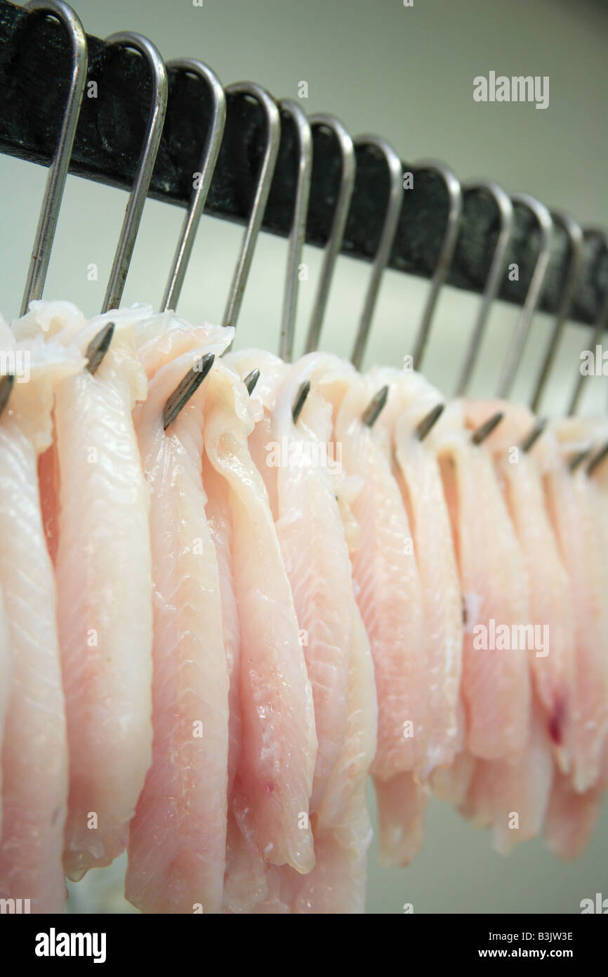 blue cod fillets Stock Photo - Alamy