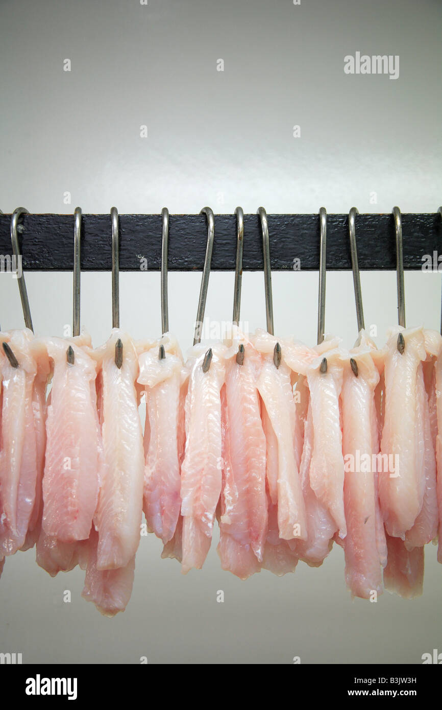 blue cod fillets Stock Photo - Alamy
