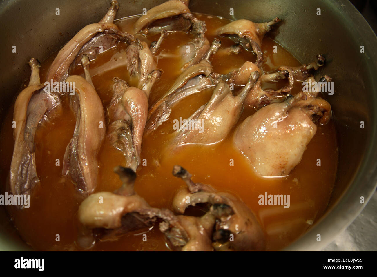 Muttonbird hi-res stock photography and images - Alamy