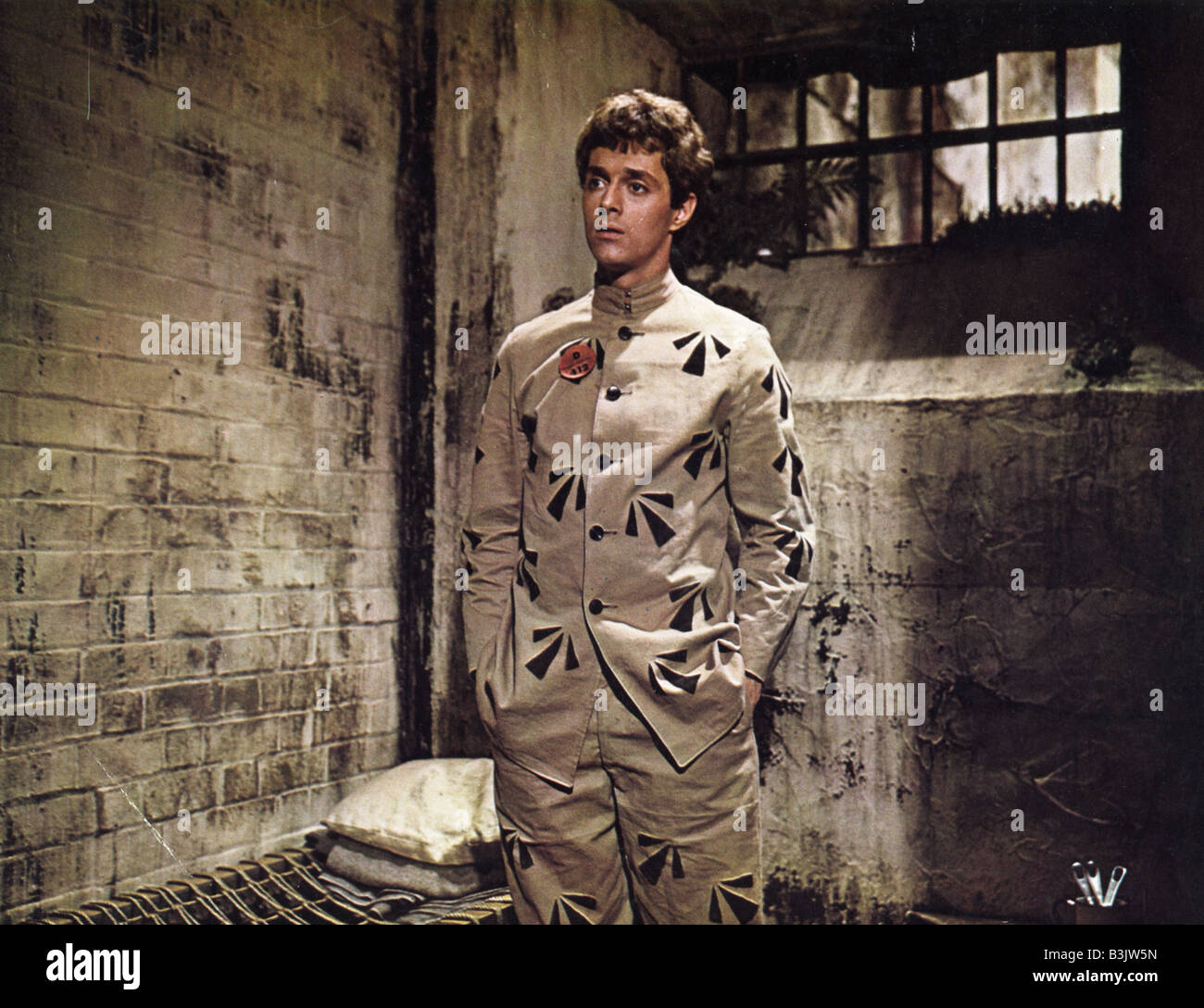 DECLINE OF A BIRDWATCHER Stock Photo - Alamy