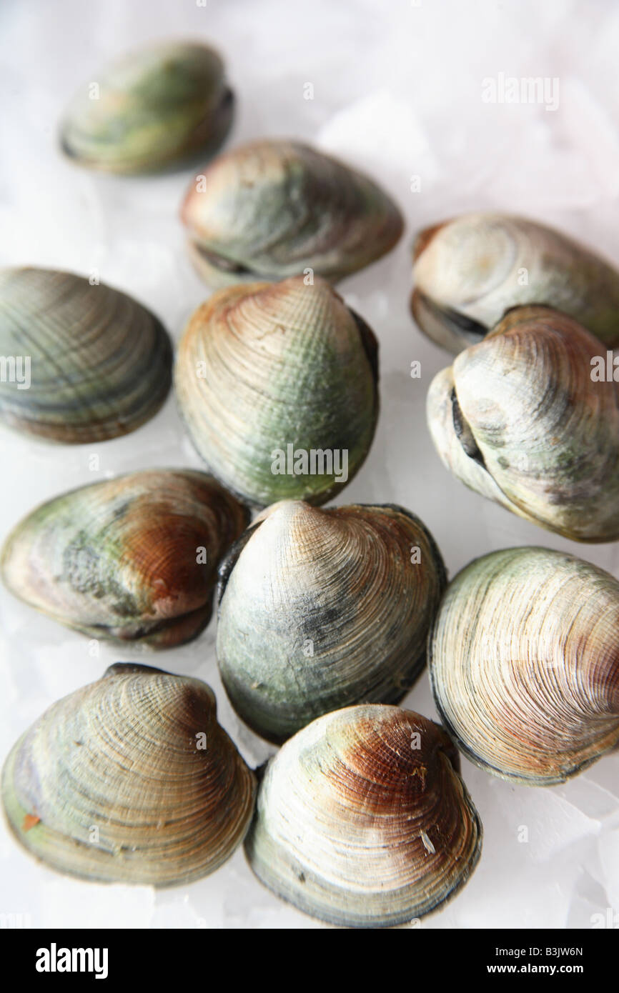 Export of fish hi-res stock photography and images - Alamy