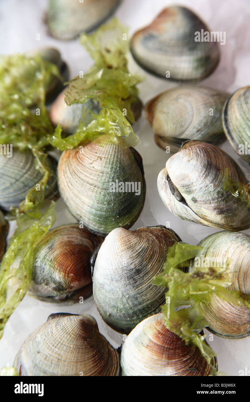 Export of fish hi-res stock photography and images - Alamy