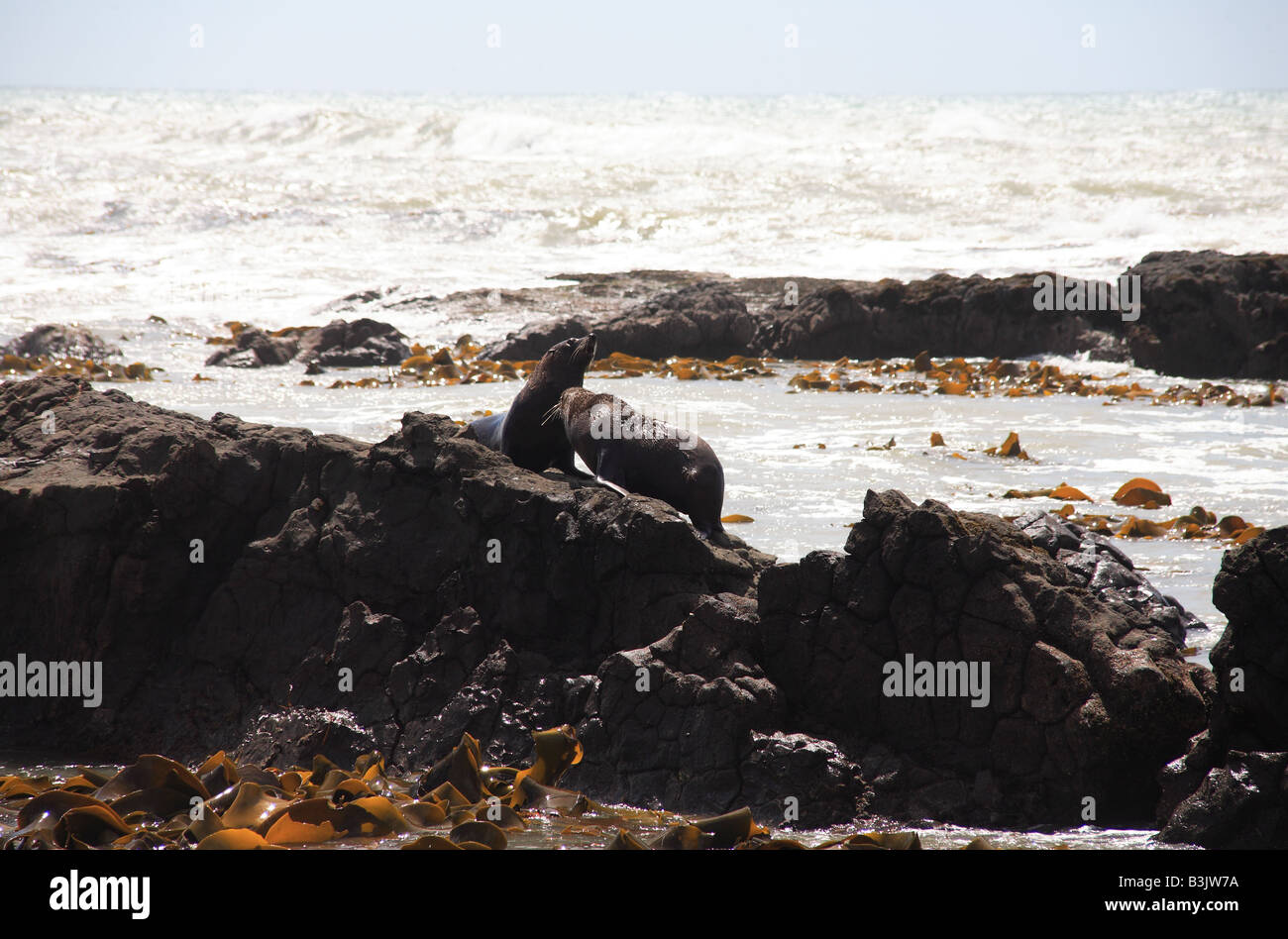 Friendship seals hi-res stock photography and images - Alamy
