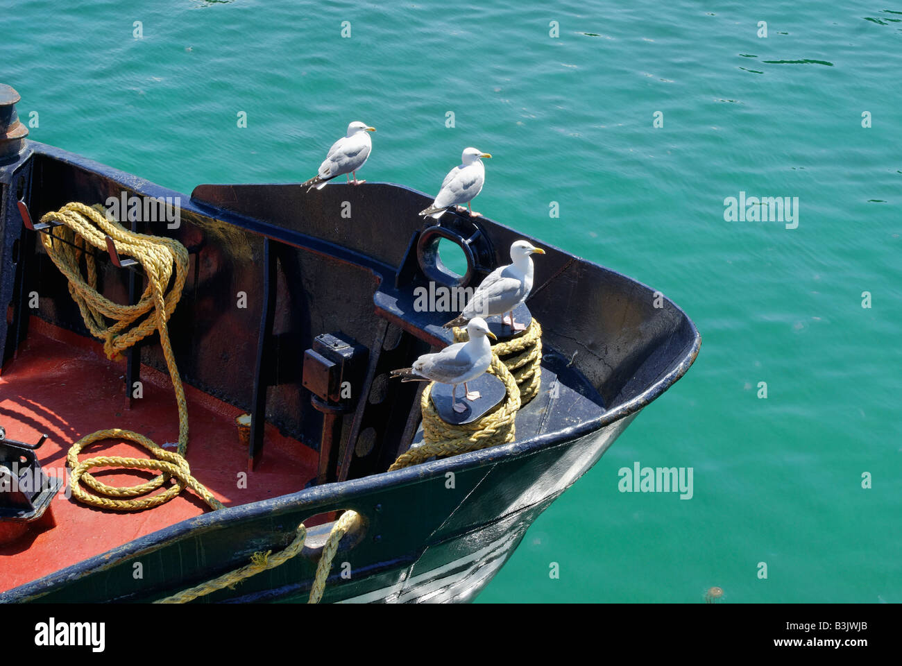 Seagulls on fishing boat Stock Photo - Alamy
