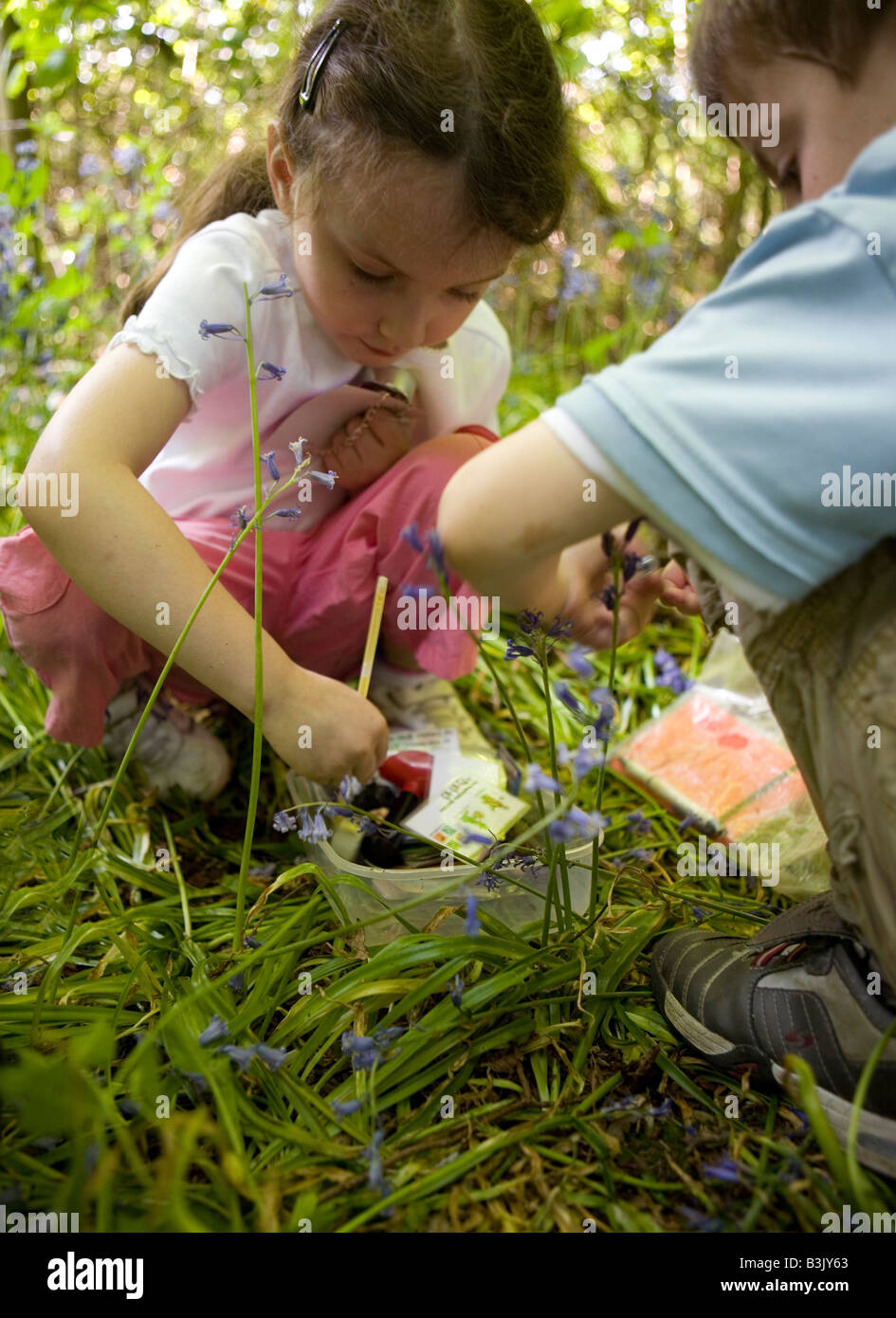 Treasure hunt children hi-res stock photography and images - Alamy