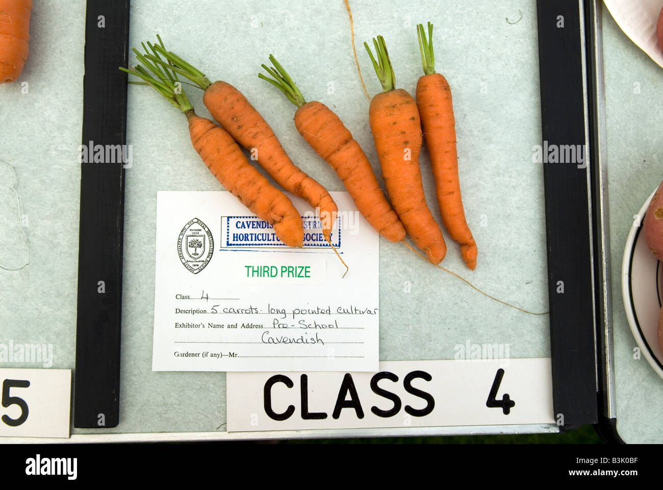 Carrots Cavendish fete Village Quintessential summer Britain Classic ...