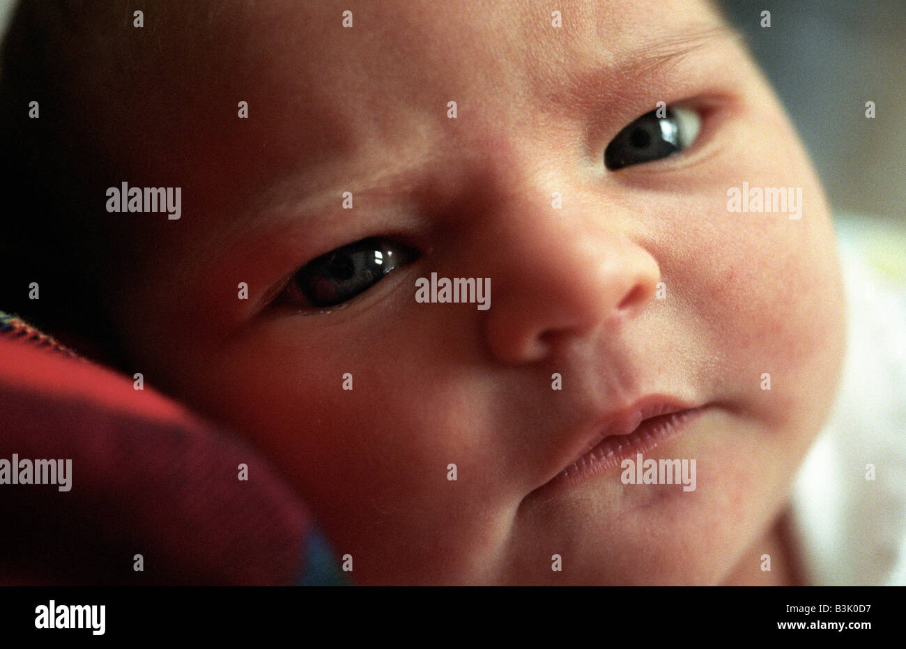 Baby Jacob at about one month old in 1994 Photographers son 2008 Stock ...