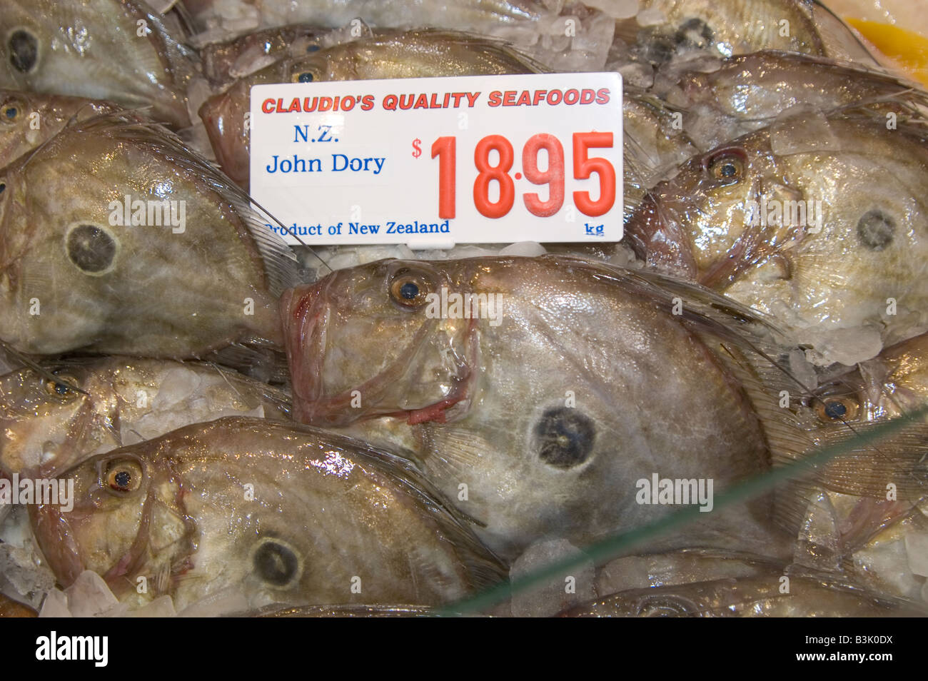 john dory fish Stock Photo - Alamy