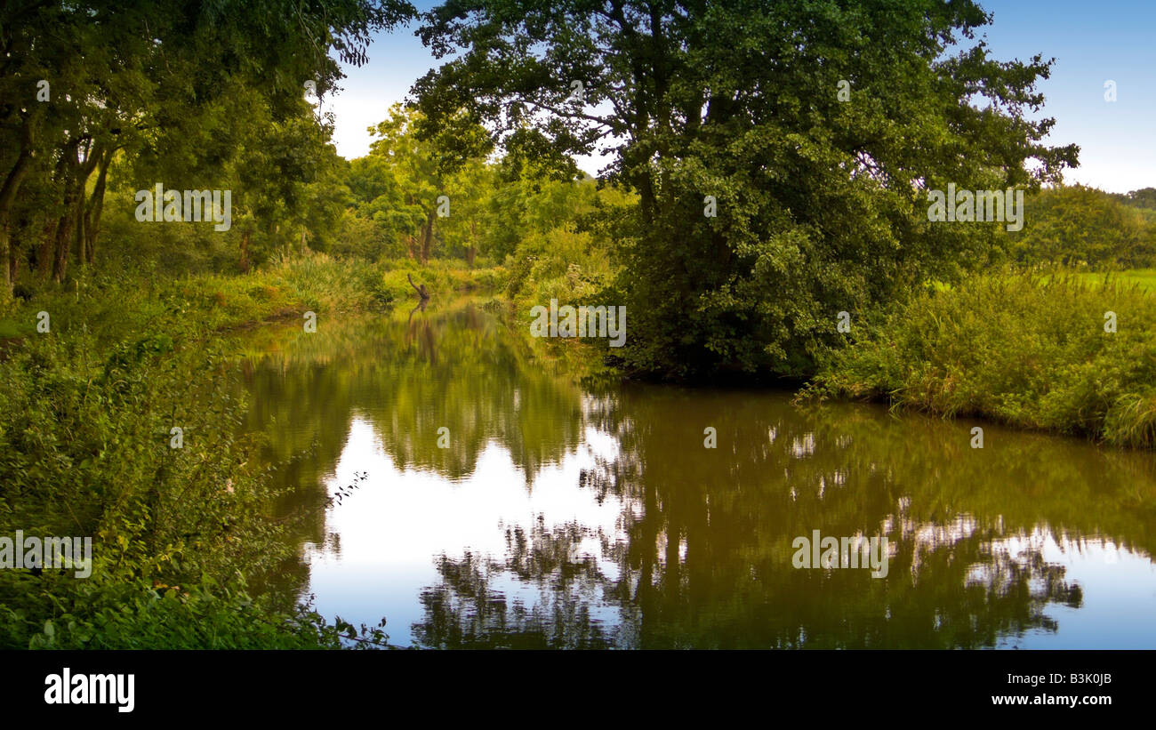 The banks of a river with bushes and trees Stock Photo - Alamy
