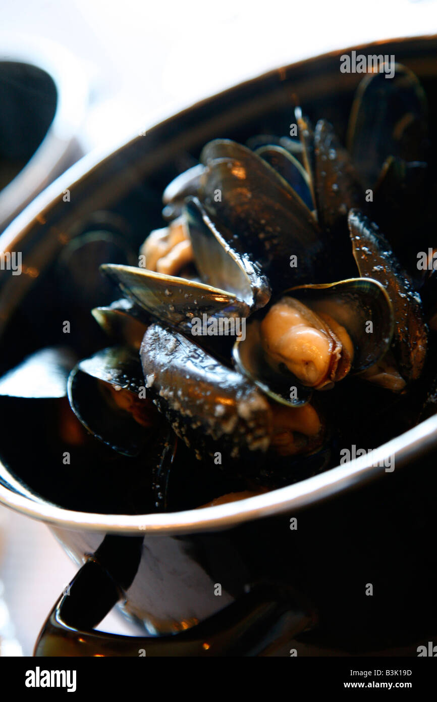 2008 a hi-res stock photography and images - Alamy