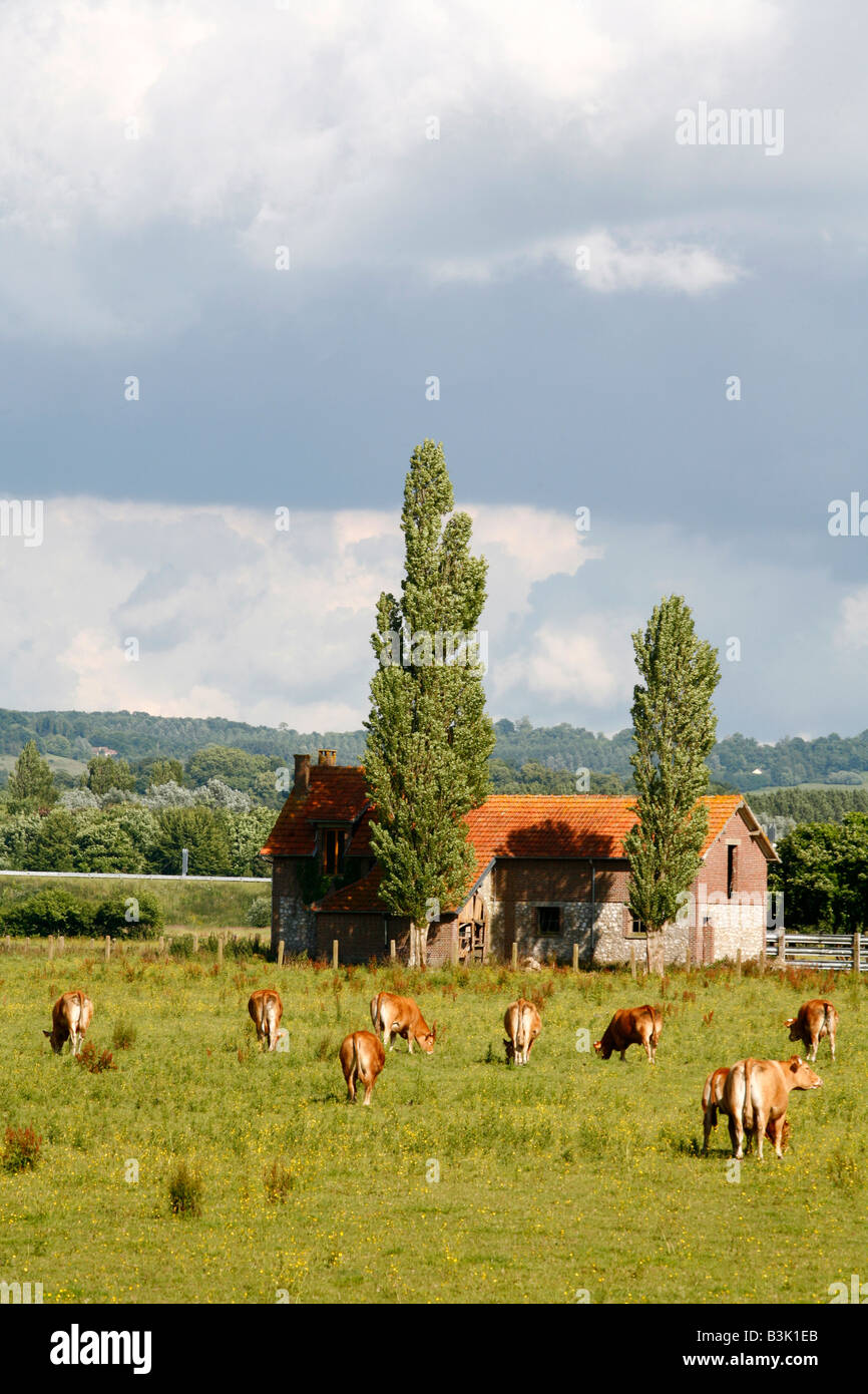 Normandy farm house hi-res stock photography and images - Alamy