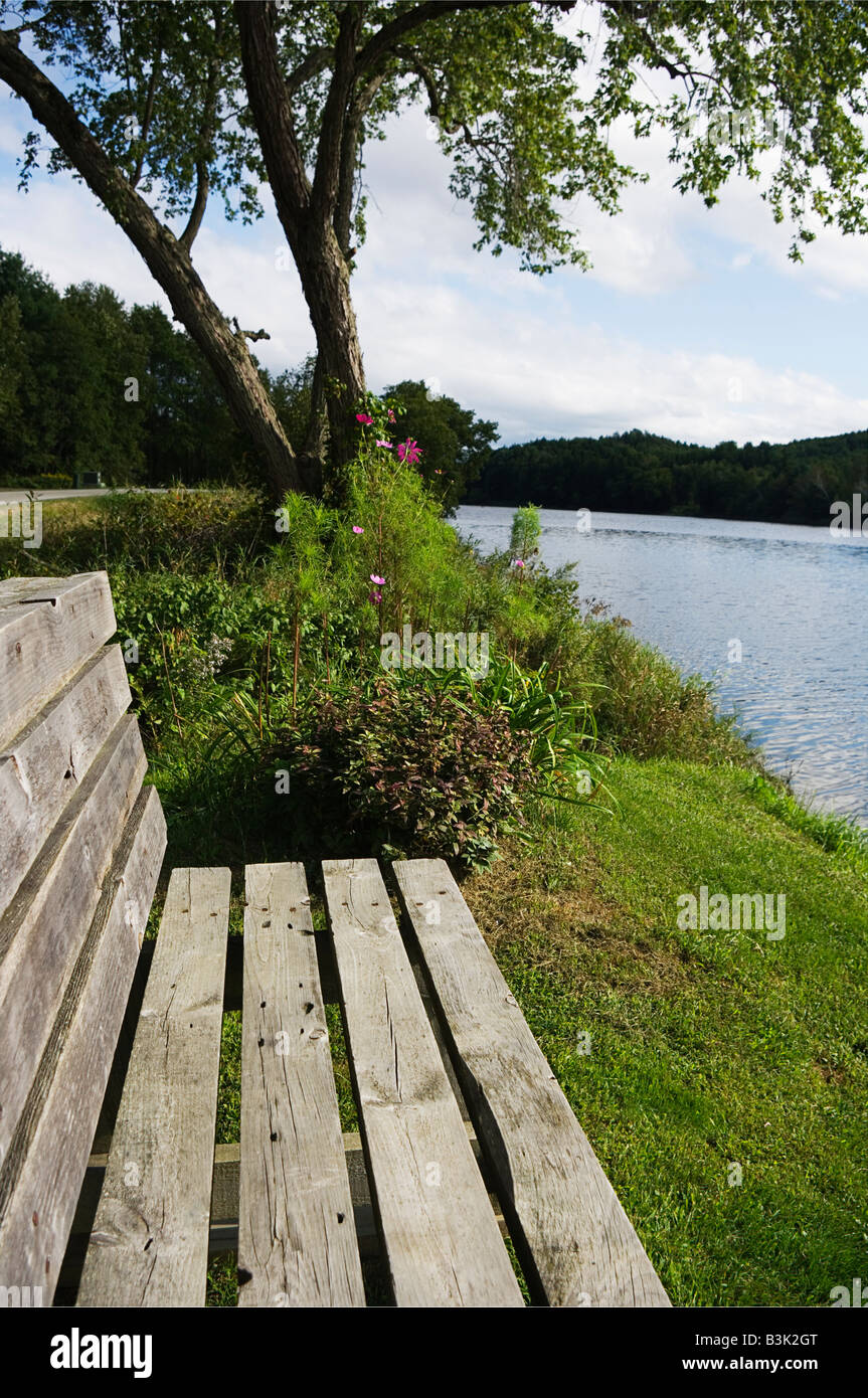 Wooden bench beside a quiet river with flowers and a tree at the end ...