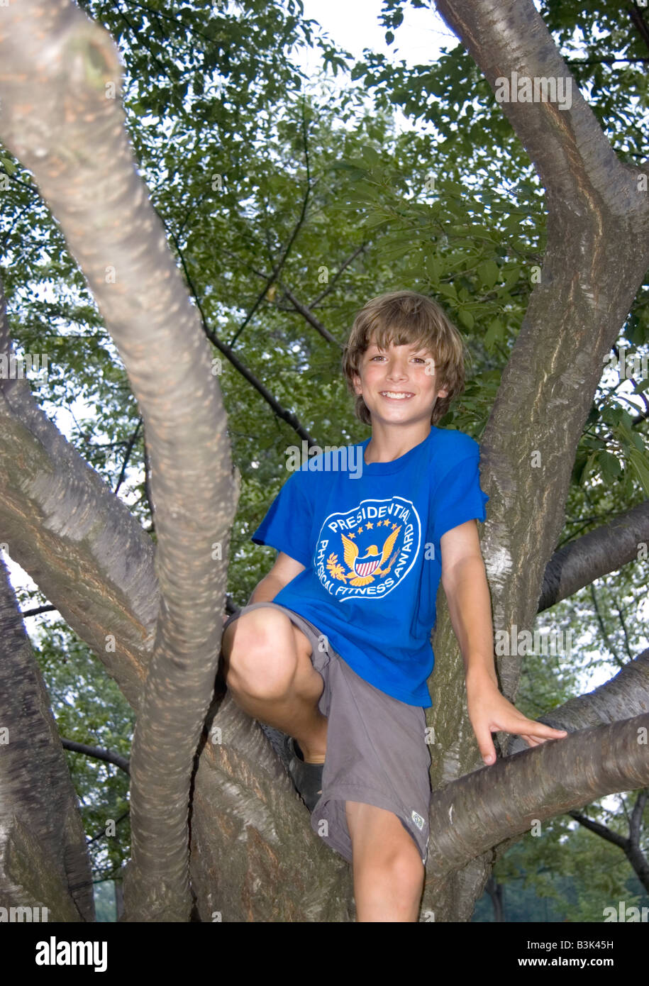A young boy in a tree Stock Photo - Alamy