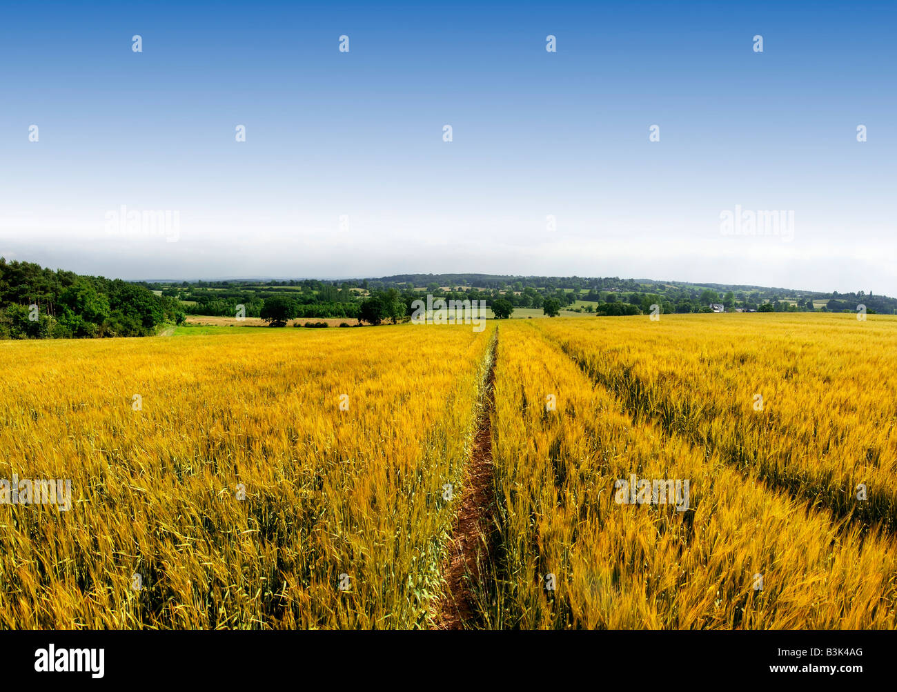 Umberslade farm hi-res stock photography and images - Alamy