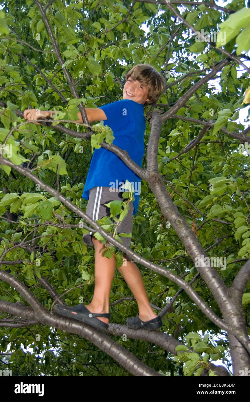 A young boy in a tree Stock Photo - Alamy