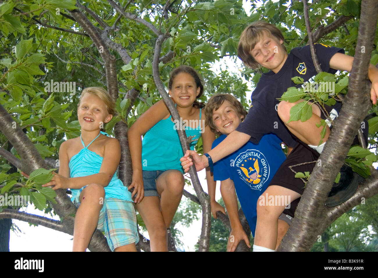 Kids playing in a tree Stock Photo - Alamy