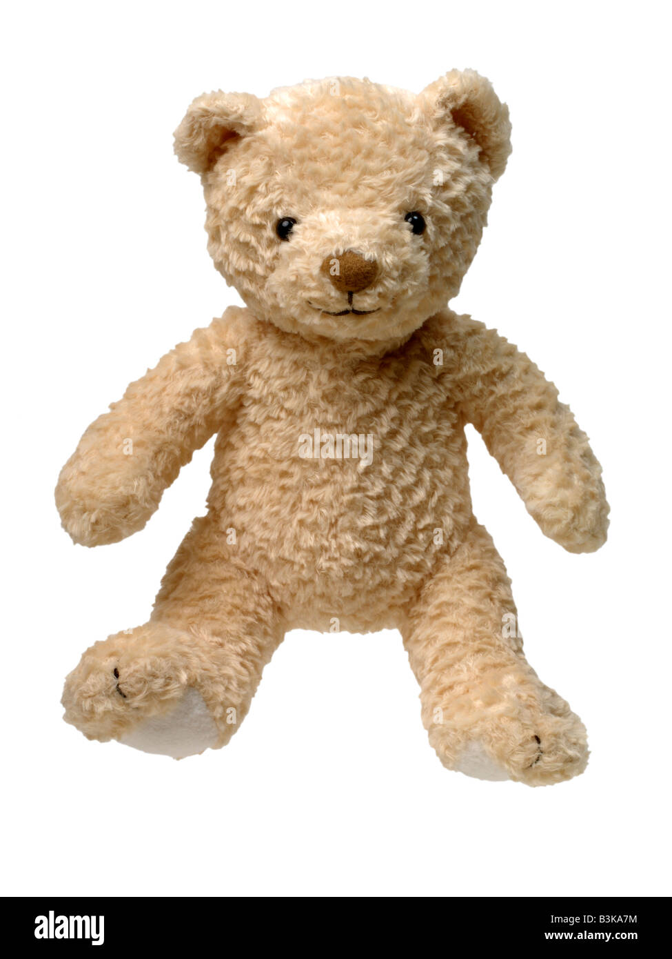 Teddy Bear soft toy Stock Photo - Alamy