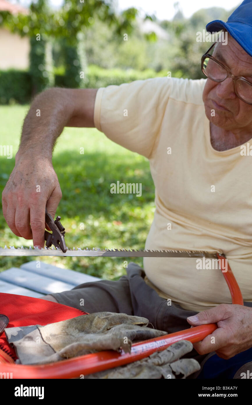 Elderly man in his garden tunes and aligns a wood saw Stock Photo - Alamy