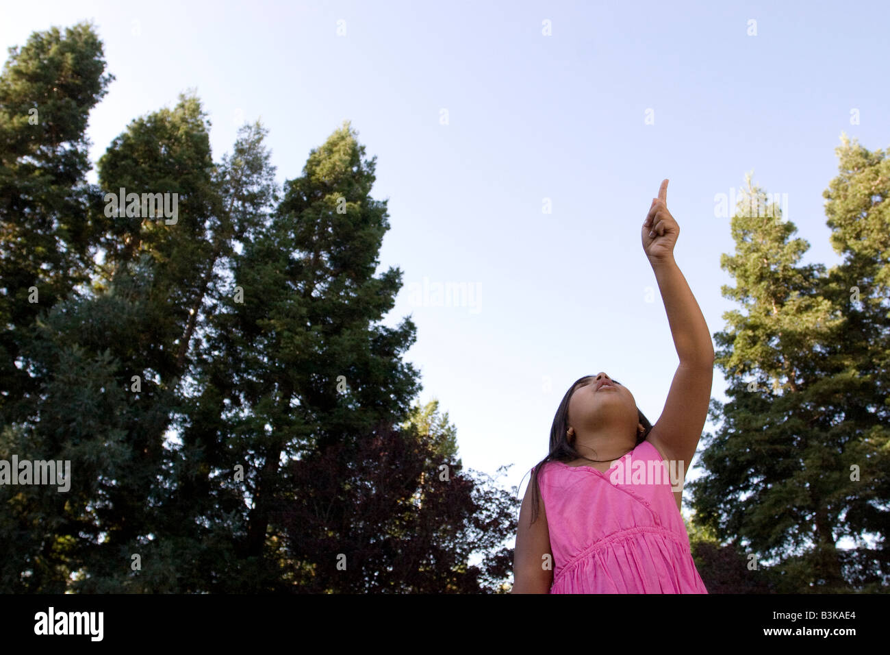 A little girl points up to the sky at birds flying overhead Stock Photo ...