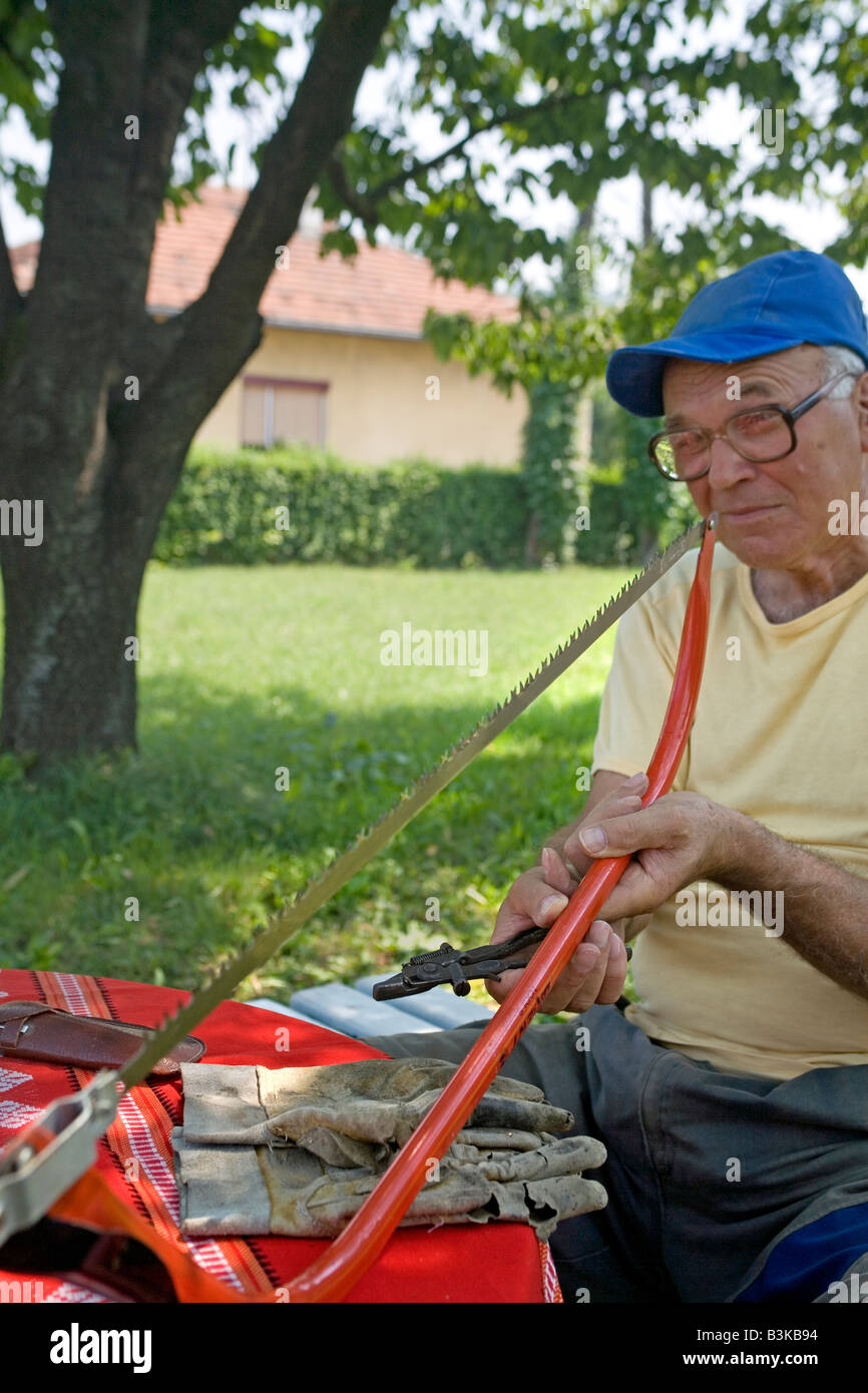 Elderly man in his garden tunes and aligns a wood saw Stock Photo - Alamy
