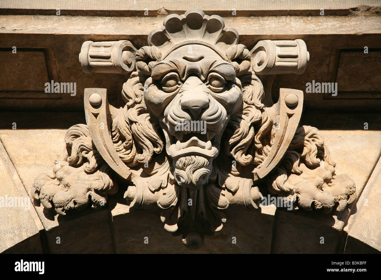 Renaissance Lion from the facade of the Residenzschloss Castle in ...