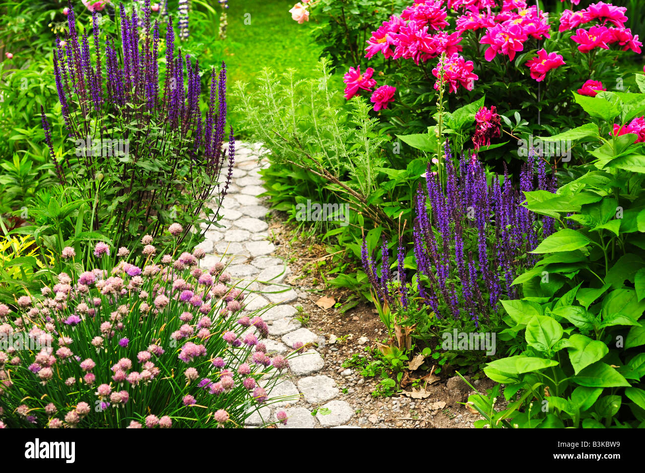 Lush blooming summer garden with paved path Stock Photo - Alamy