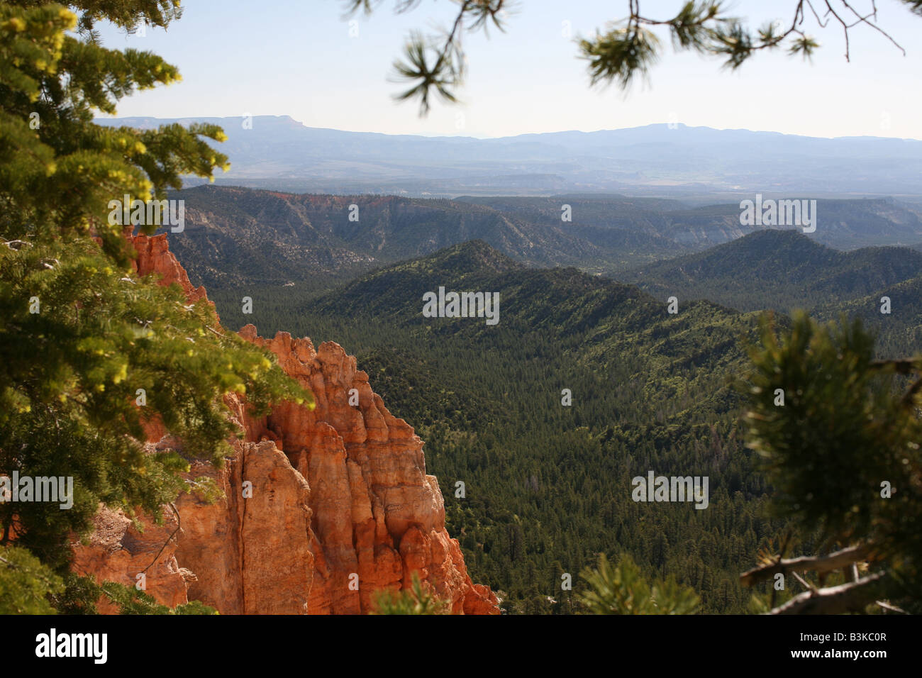 Top of Bryce Canyon National Park Utah Showing Green Pine Forest in ...