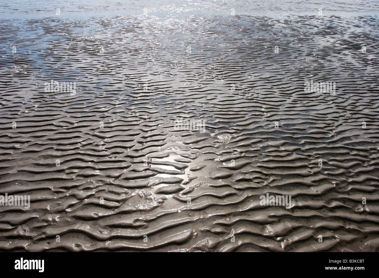 Wadden Sea at low tide in St.Peter-Ording, Schleswig-Holstein, Germany ...