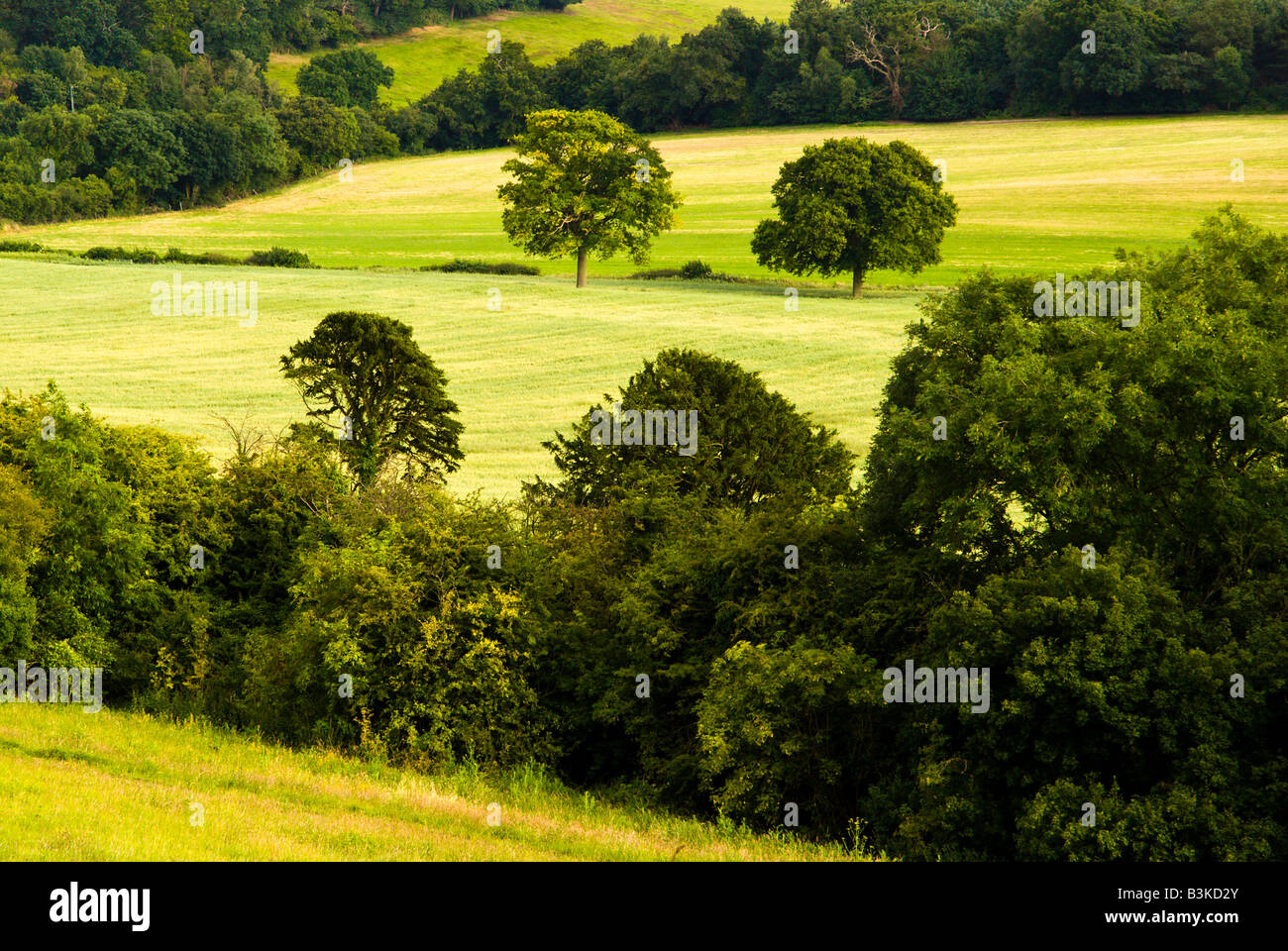 Surrey hills hi-res stock photography and images - Alamy