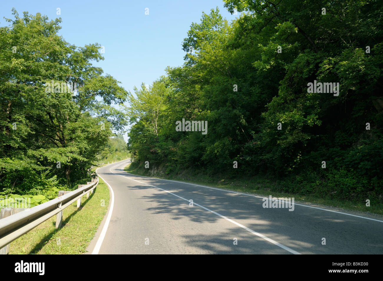 Road in forest Stock Photo - Alamy