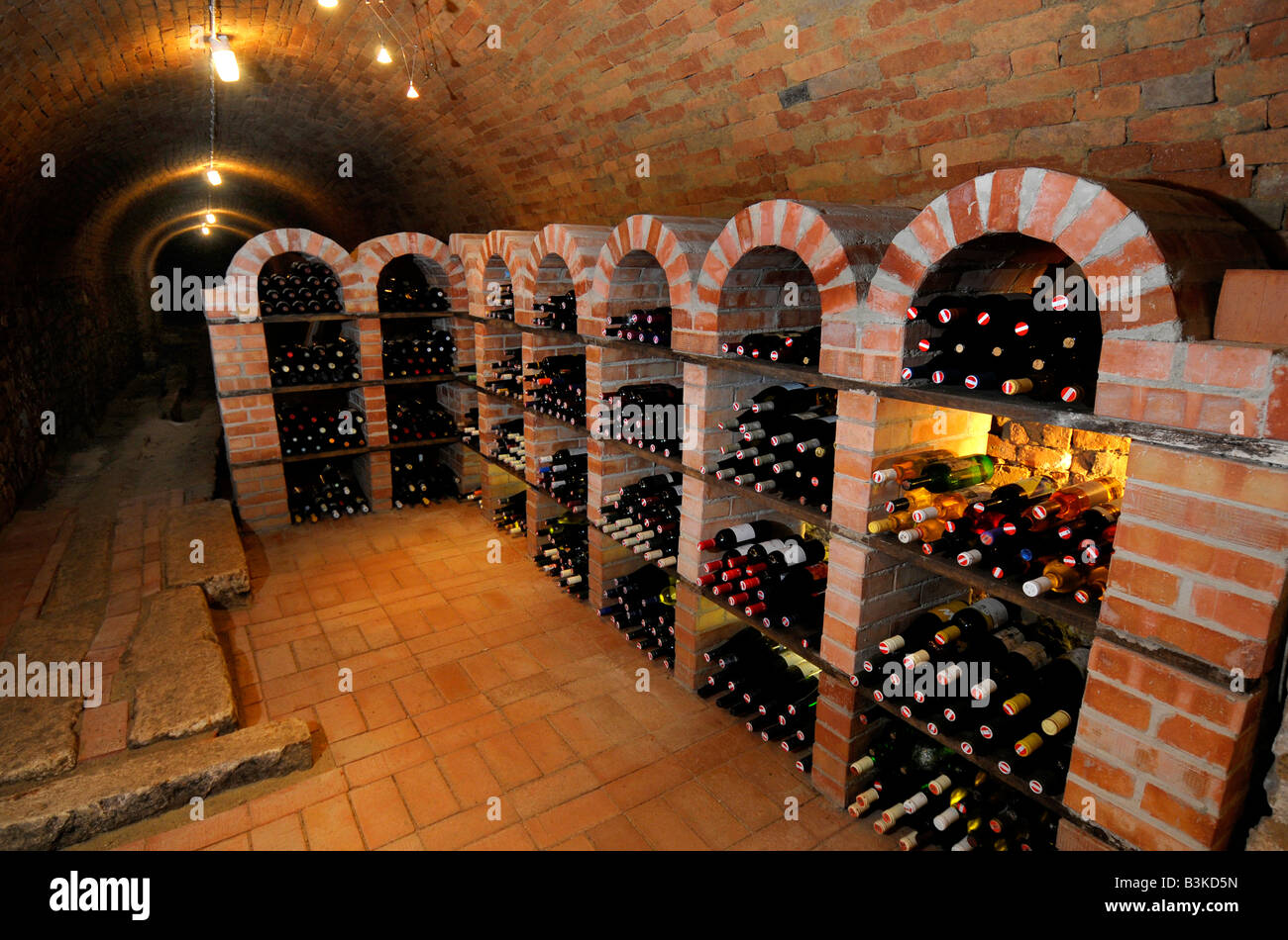 Wine cellar, Austria Stock Photo - Alamy