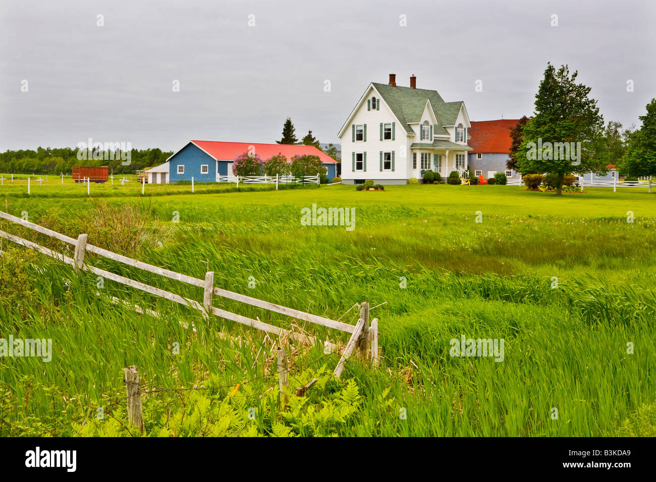 Farm Prince County Prince Edward Island Canada Stock Photo - Alamy