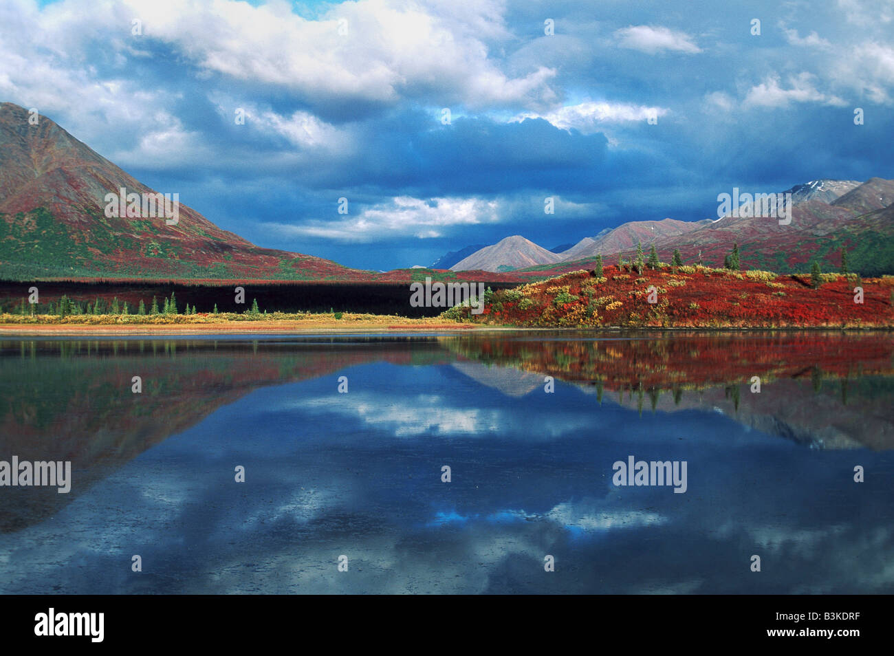 Indian Summer fall colors Tangle Lake Alaska USA Stock Photo - Alamy