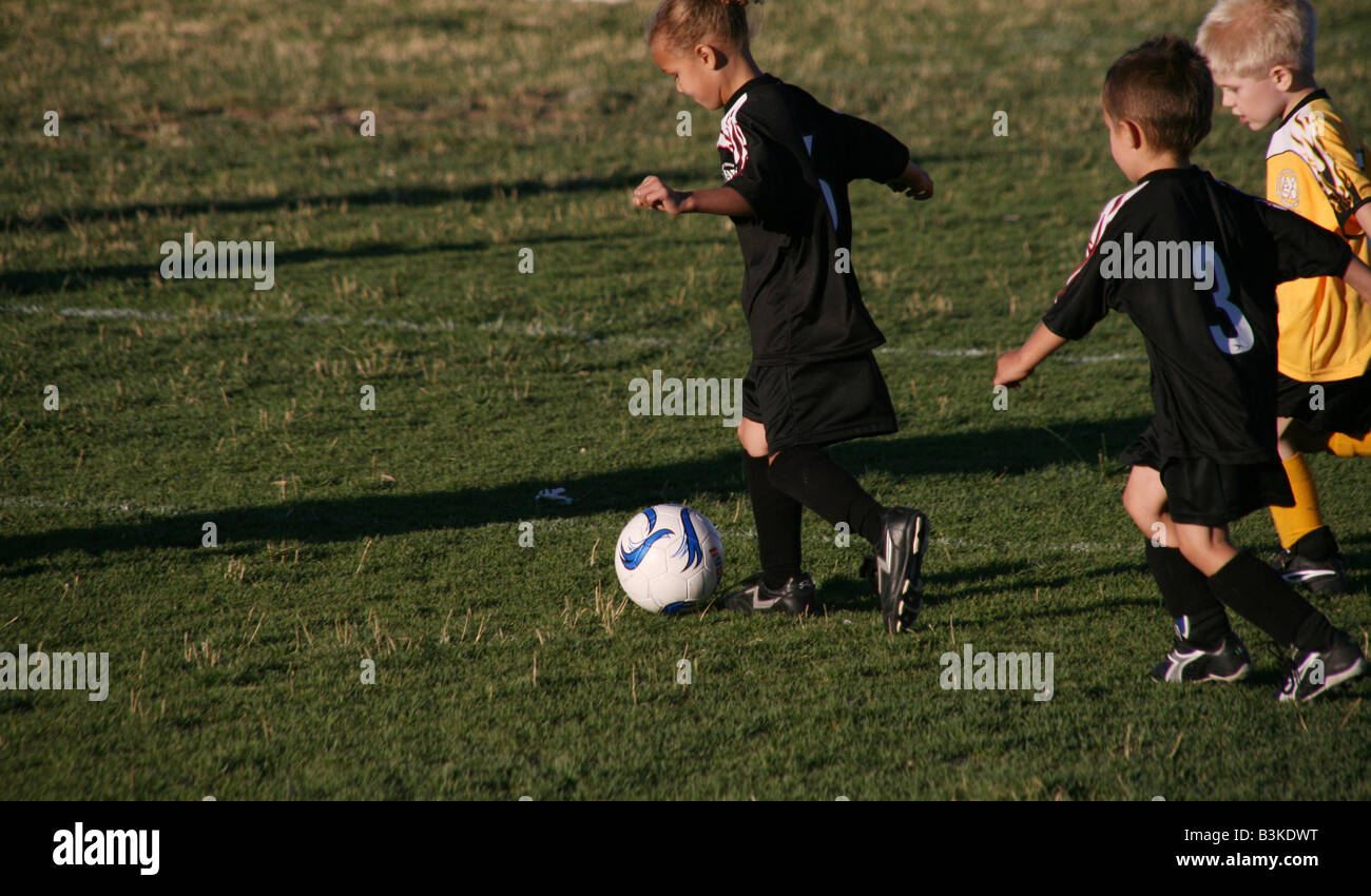 Little soccer players Stock Photo - Alamy