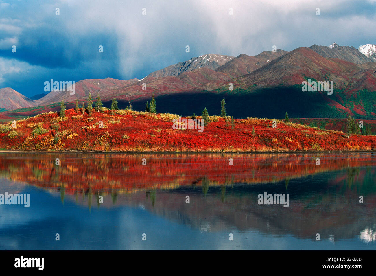Indian Summer fall colors Tangle Lake Alaska USA Stock Photo - Alamy