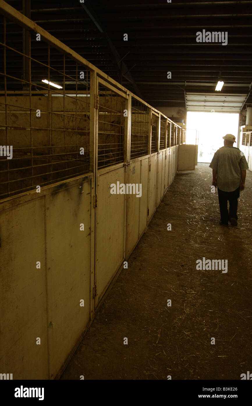 Livestock pens hi-res stock photography and images - Alamy