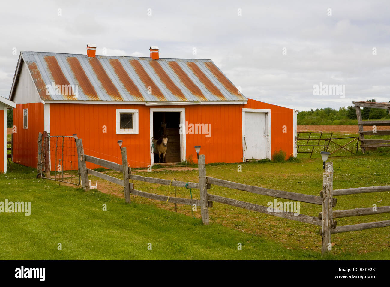 Pony Stable Coleman Prince County Prince Edward Island Canada Stock ...