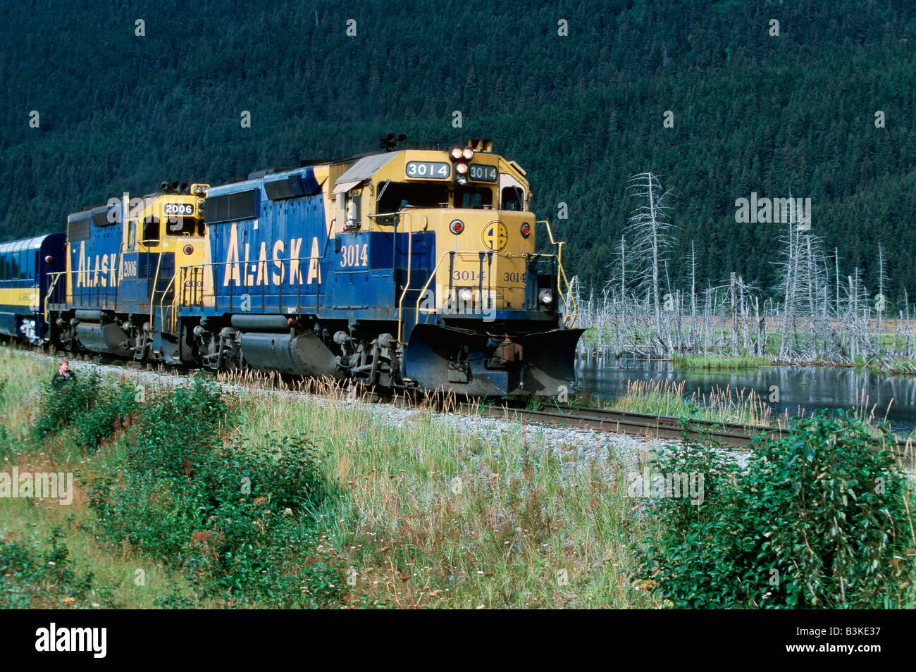 Train along Denali Highway Alaska USA Stock Photo - Alamy
