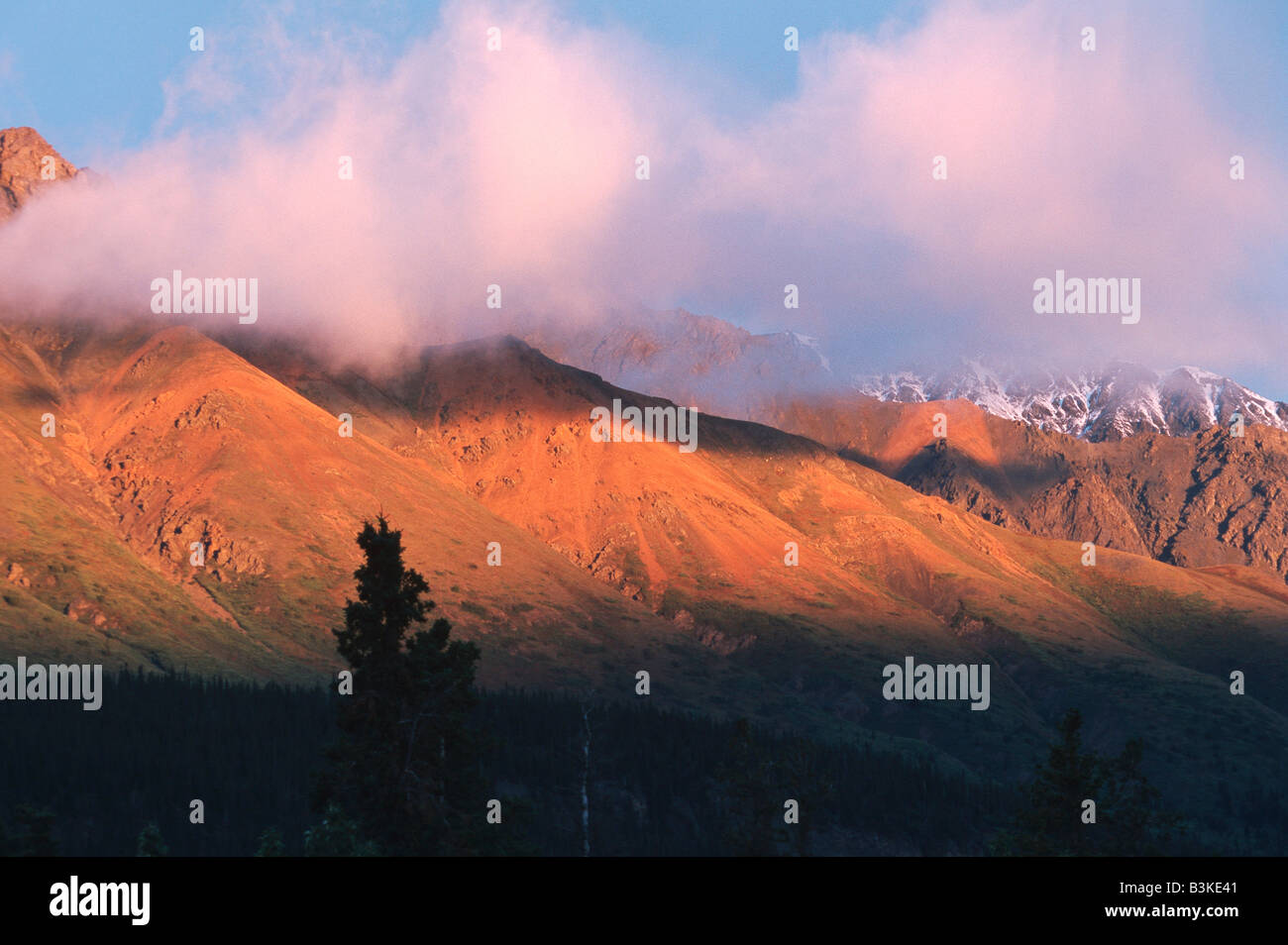 Indian summer at alaska range hi-res stock photography and images - Alamy