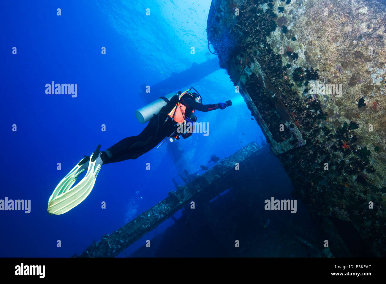 A scuba diver shines her torch at the letter D on the MV Giannis D ...