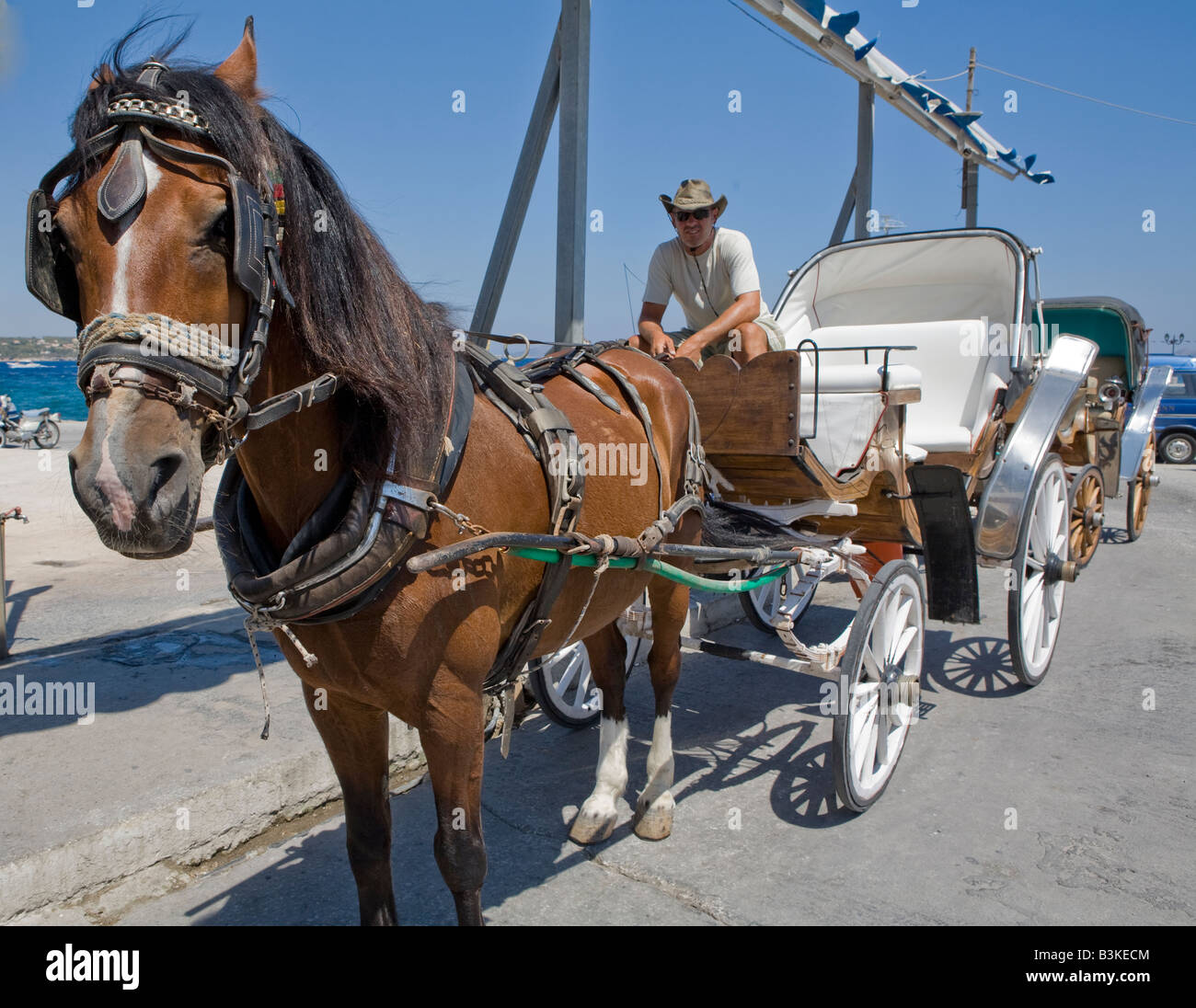 Horsedrawn carriage, Spetses, Greece Stock Photo - Alamy