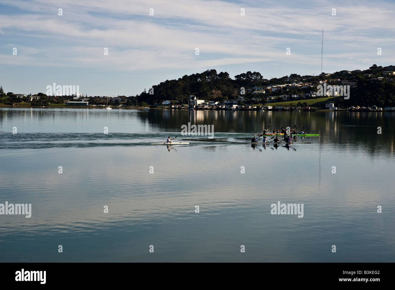 Paremata hi-res stock photography and images - Alamy