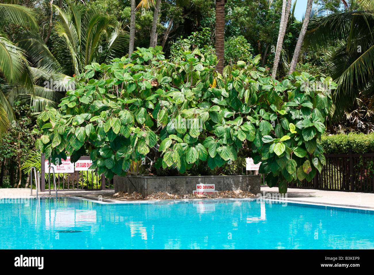 swimming pool in a resort at Poovar,Kerala,india Stock Photo - Alamy