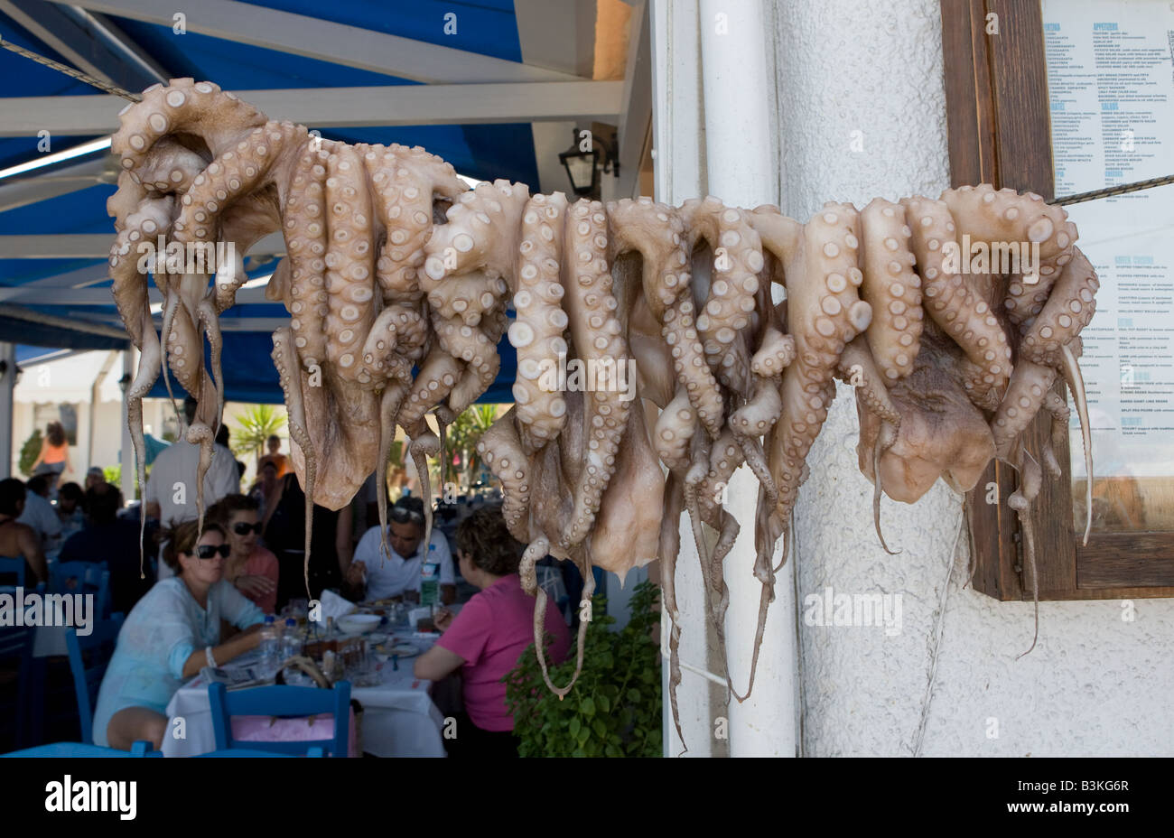 Fresh Calamari Hanging Up outside A Taverna Spetses Greek Islands ...